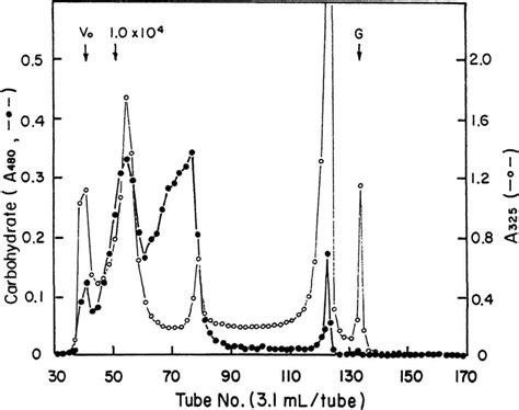 Chromatographic Profile Of Fraction I 2 I Resolved Using A Bio Gel P 10
