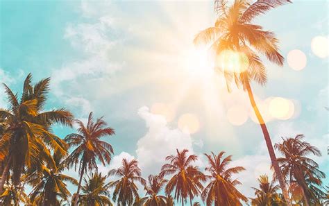 Morgan Stanley Hires 265 Mln Asset Merrill Team In Florida Advisorhub