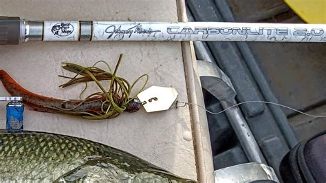 How To Improve Your Chatterbait Spinnerbait Game Favorite Rod For
