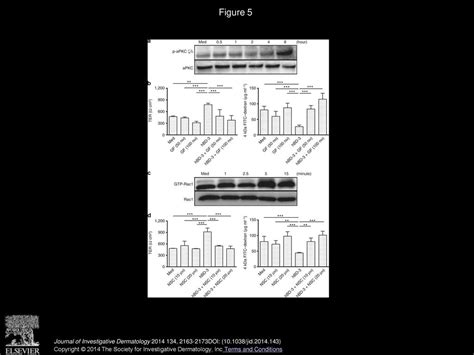 Host Defense Antimicrobial Peptide Human β Defensin 3 Improves The