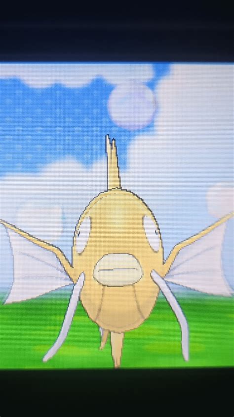 [vi] Need Nickname For Shiny Magikarp Im Not Evolving Her R