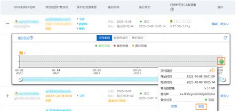 Ecs Cloud Backup