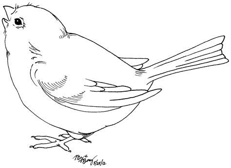 Ibon Drawing