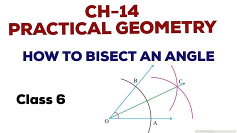Bisect Geometry