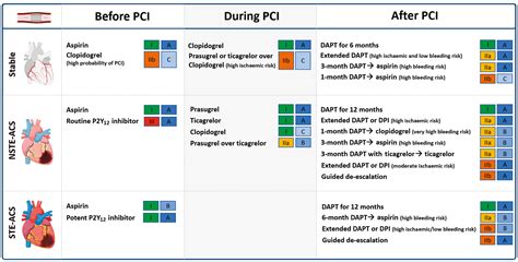 Antiplatelet Therapy After Percutaneous Coronary Intervention