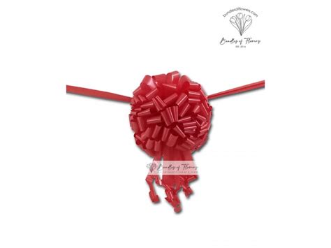 Ribbon Cutting Stand Perfect For Celebration Grand Opening