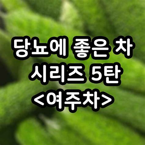 여주차 효능 당뇨에 좋은 차 5탄 부작용 만들기 주의사항 고센 포스트