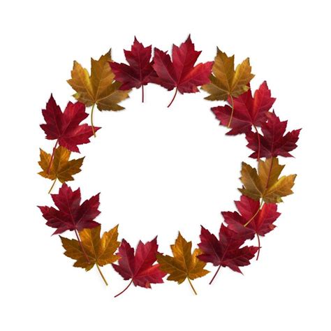 55 000 Maple Leaf Circle Pictures