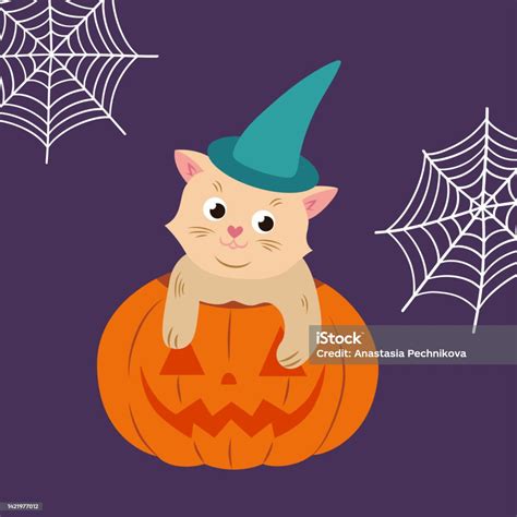 할로윈 호박 벡터 일러스트레이션에 앉아있는 마녀 모자에있는 귀여운 고양이 10월에 대한 스톡 벡터 아트 및 기타 이미지 10월 가을 가축 Istock