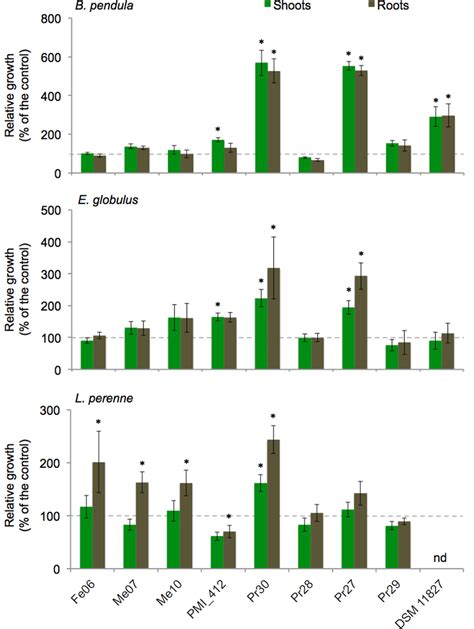 Effect Of Fungal Inoculation On Plant Growth Root Biomass Brown Bars