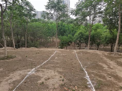 天通苑休闲公园开始划线了 天通苑社区网