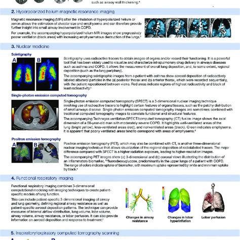 A Small Airways In The Respiratory System And B Pathological