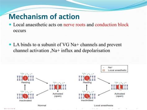 Subarachnoid Block Dr Amit 1 Pptx