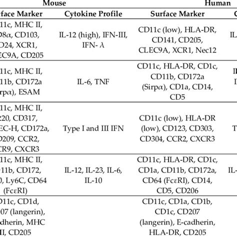 Major Dendritic Cell Dc Subsets And Surface Markers 7071