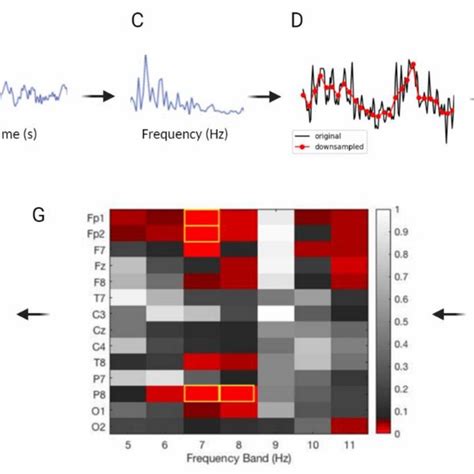 of automated pipeline a eeg collection b c transformation from