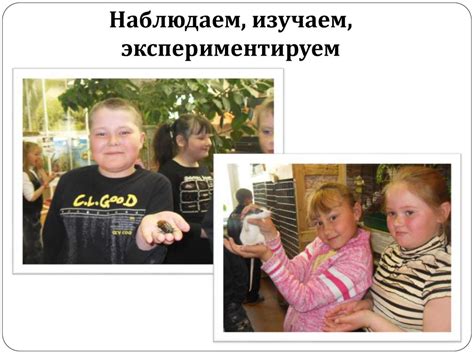 Эколого гигиеническое образование в сельской школе презентация онлайн