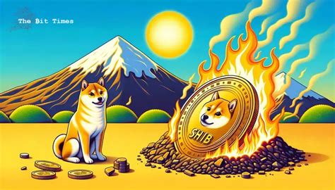 Shiba Inu Shib Burn Rate Spikes 47000 Will Price Follow