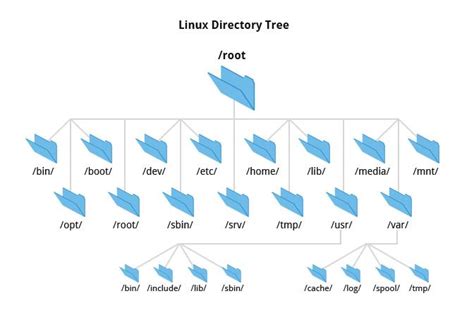 The Filesystem Hierarchy Standard Of Linux 知乎