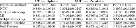 summarized mean dice score for internal validation of msd spleen