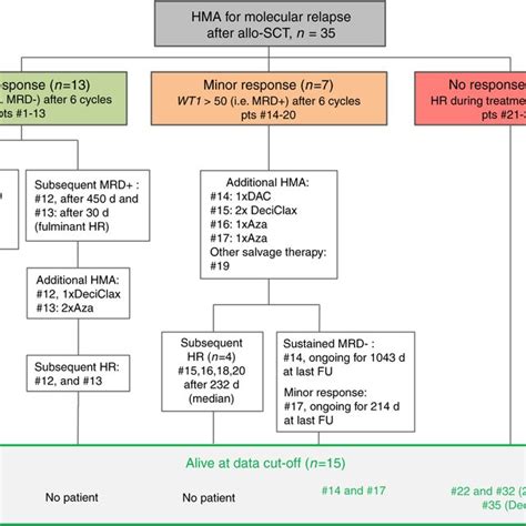 Wilms Tumor 1 Guided Preemptive Treatment With Hypomethylating Agents For Molecular Relapse Of