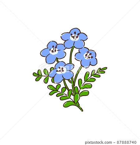 Nemophila 手寫風格 插圖素材 87888740 PIXTA圖庫