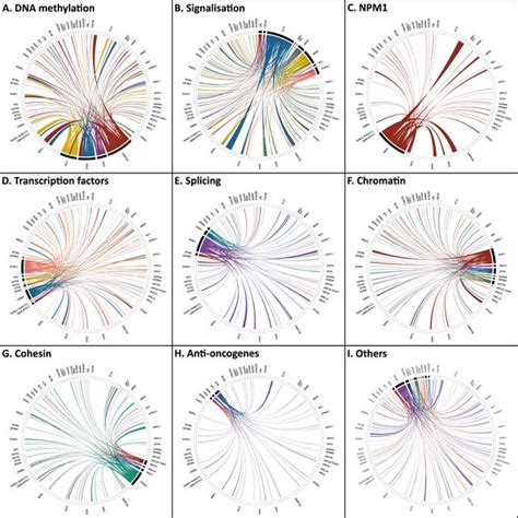 Circos Plots Of Gene Categories Showing The Profiles Of Co Mutations A