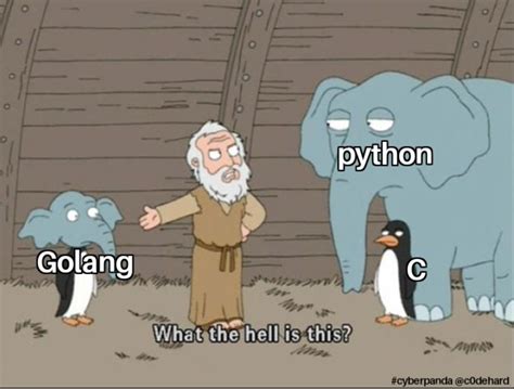 Go Programming Basics