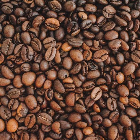 Bio Koffiebonen In Bulk Cafe Rico