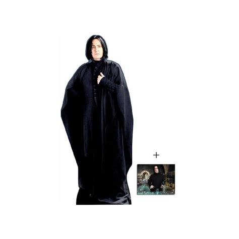 Buy Fan Pack Professor Severus Snape From Harry Potter Lifesize