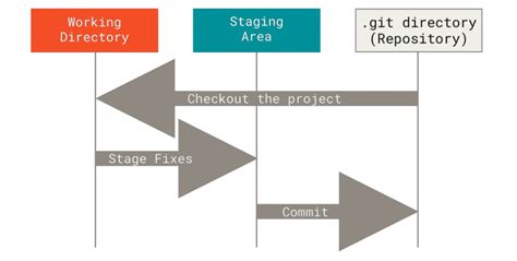 Vocabulary Of Git A Beginner Guide