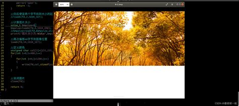 C语言实践：文件操作与stat函数应用 Csdn博客