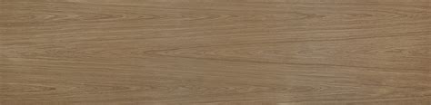 Black Walnut S Leviart