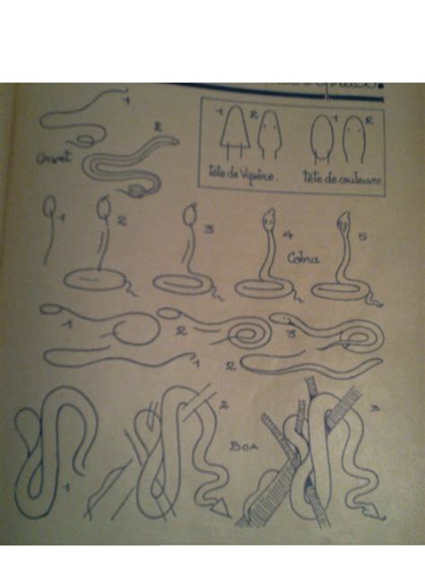 Dessins Astuces Pour Debutants COMMENT DESSINER UN SERPENT