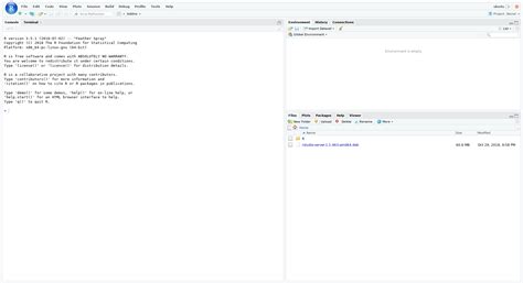Set Up RStudio De NBI Cloud Wiki