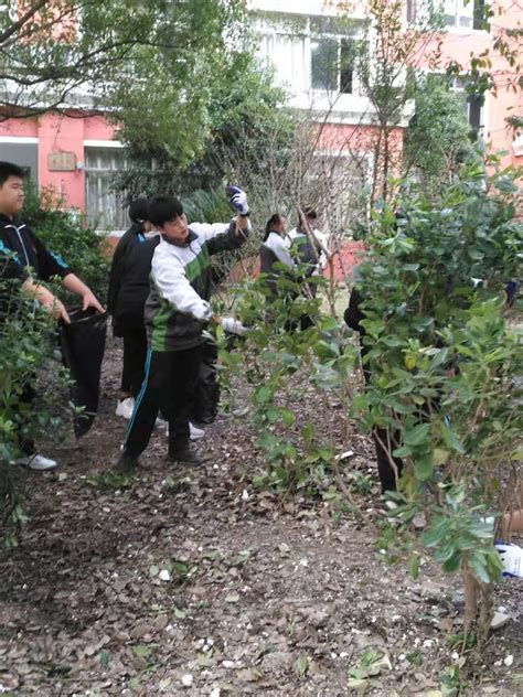党团齐心护绿成长嘉兴市开明中学校园绿化保护活动