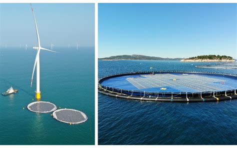 Floating Solar Farms At Sea Nz Ripe For Them Rnz