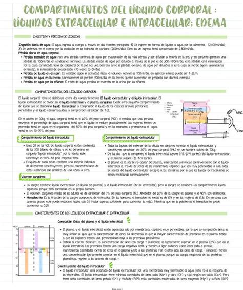 COMPARTIMIENTOS DEL LÍQUIDO CORPORAL LÍQUIDOS EXTRACELULAR E INTRACELULAR EDEMA Yesenia Reyes