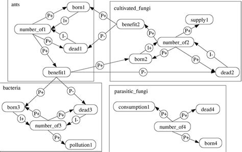 Causal Dependencies Involving Four Populations Four Interactions In Download Scientific