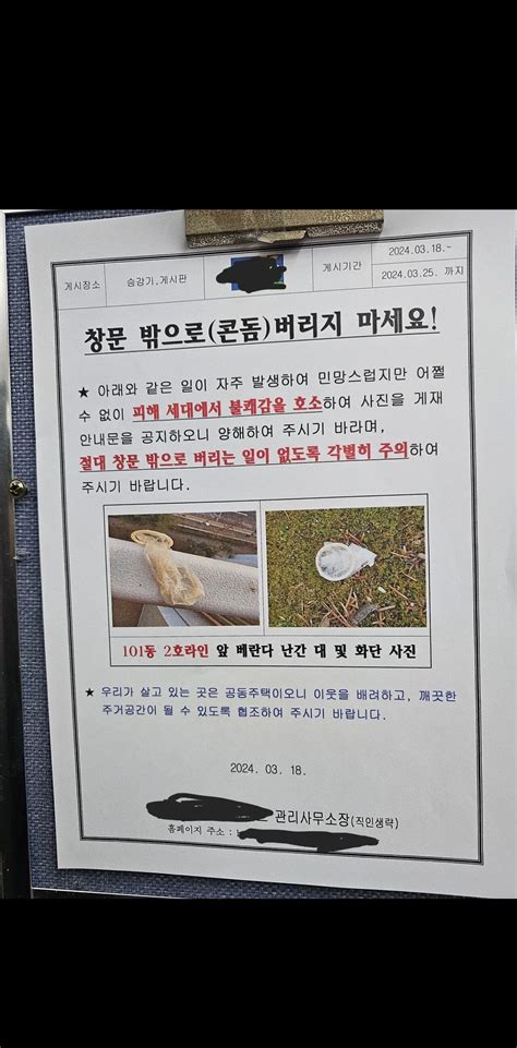 더쿠 창문 밖으로 콘돔 버리지 마세요