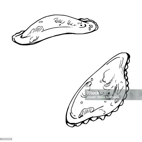 손으로 그린 잉크 벡터 그림 전통적인 고기 야채 채워진 파이 만두 Empanadas 회전율 흰색 배경에 고립된 구성입니다 디자인