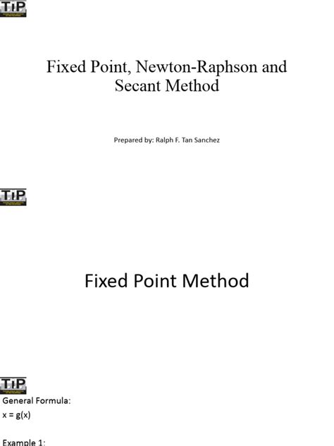 newton raphson method pdf