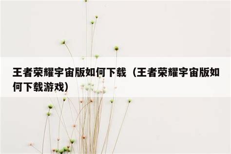 王者荣耀宇宙版如何下载（王者荣耀宇宙版如何下载游戏）