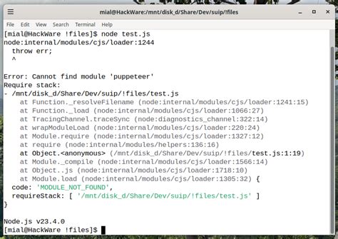 Where Does Npm Install Packages “error Cannot Find Module” Even After