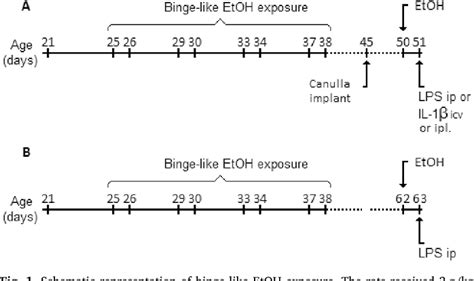 Figure 1 From Effects Of Binge Like Ethanol Exposure During Adolescence