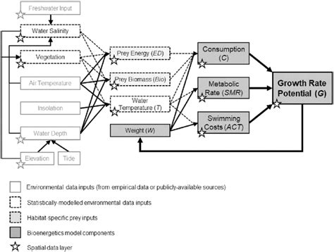 Conceptual Diagram Showing The Hierarchical Structure Of A Spatially