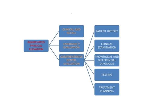 The Diagnostic Process Ppt