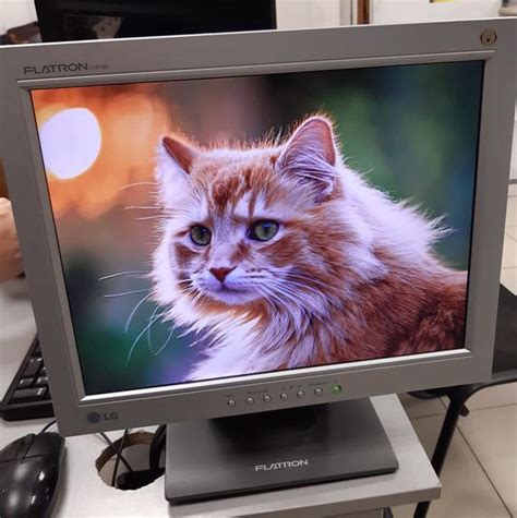 Монитор LG Flatron L1510s - купить недорого б/у на ИЗИ (23322894)