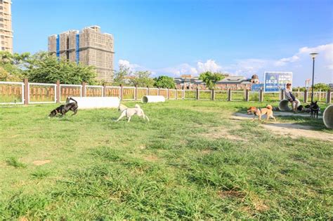 台中景點│樂業寵物公園、毛小孩的戶外活動場、讓狗狗認識更多新朋友吧