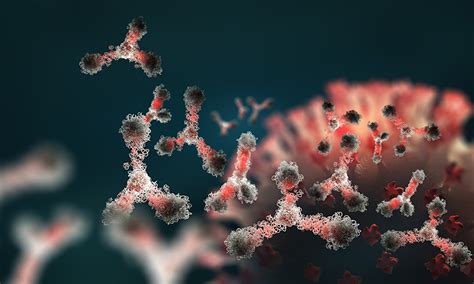 Cross Reactive Antibody Could Form Basis Of Broad Coronavirus Vaccine