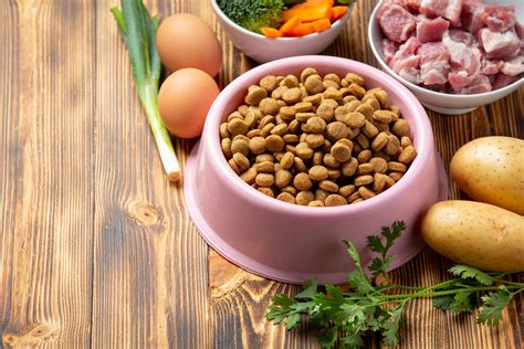 What Is Hydrolyzed Protein Cat Food The Cat Bandit Blog
